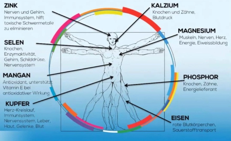 Sisel Encompass360 - eine umfangreiche Vitalstoffversorgung - Sisel ...