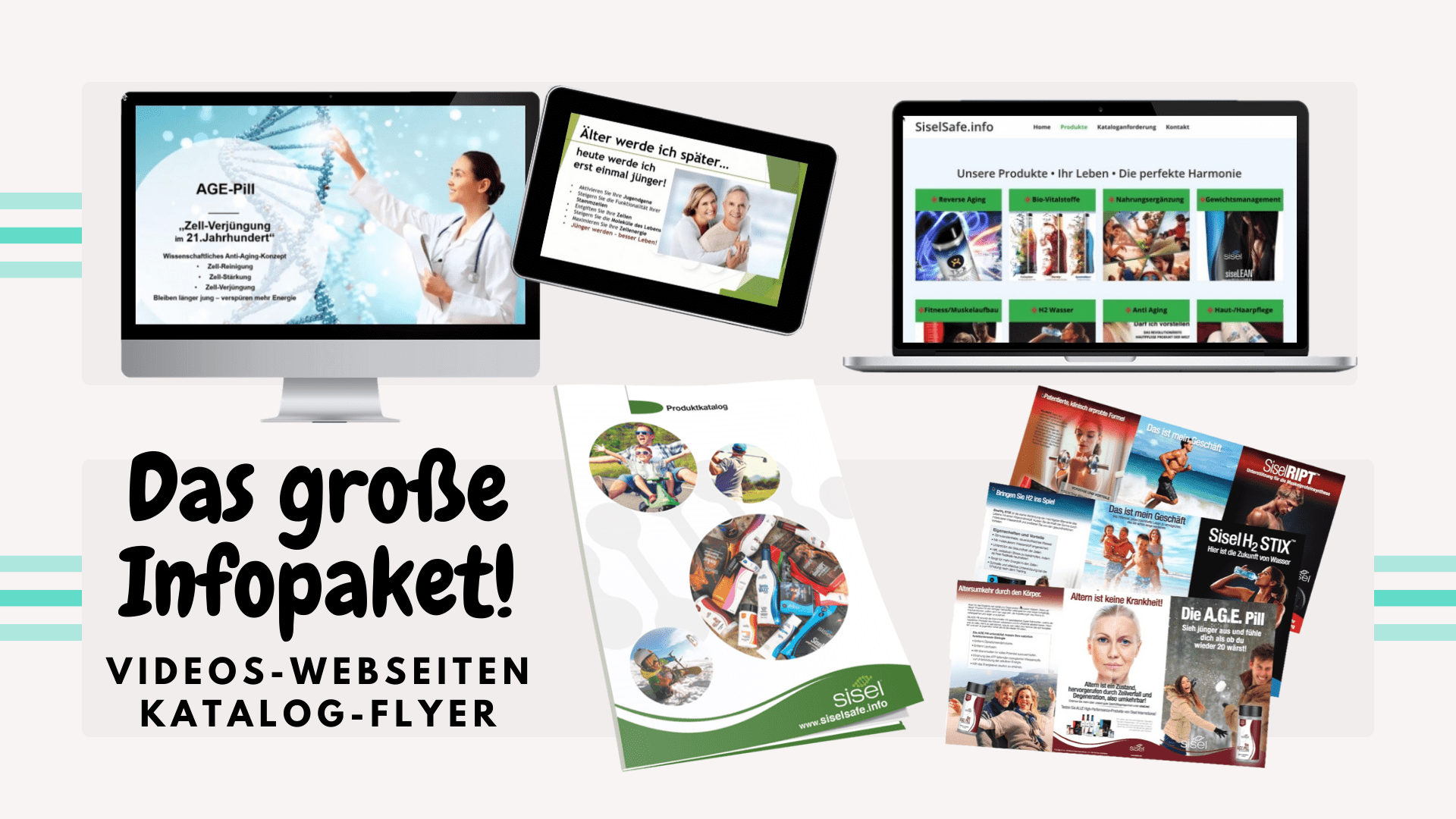 Sisel Katalog und Flyer anfordern und direkt bestellen - Sisel - Vital ...